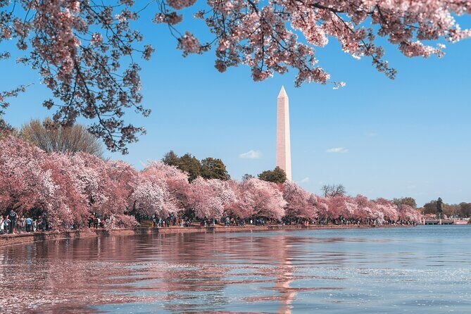 Top Tidal Basin Explorer of Thomas Jefferson FDR & MLK Memorials - Key Points
