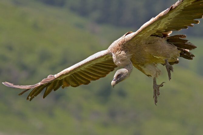 Torcal de Antequera Hiking Tour from Málaga - What Reviewers Say