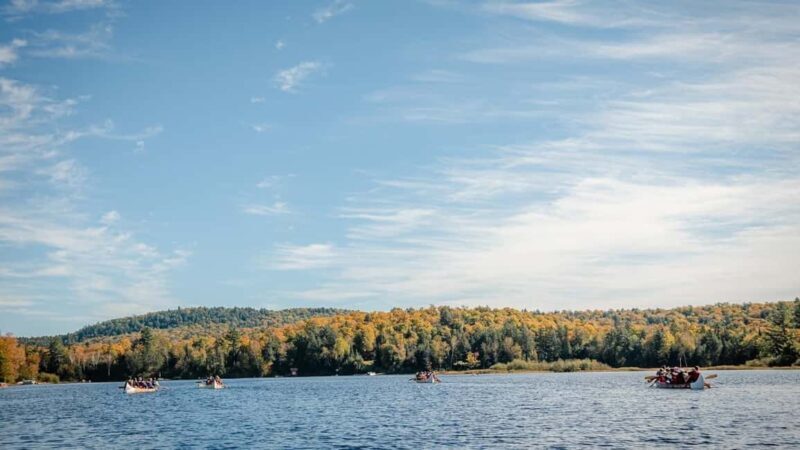 Toronto: Algonquin Park and Ragged Falls Day Trip - Authentic Insights from Reviewers