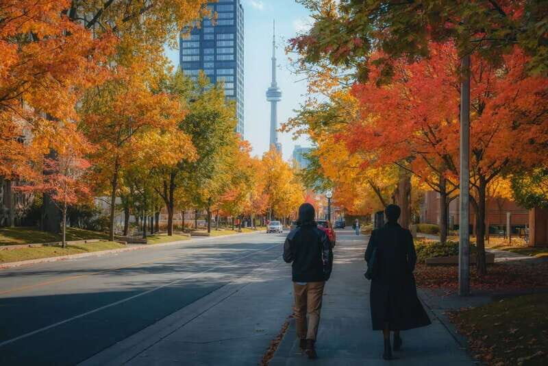 Toronto: City Highlights Walking Tour | 3-Hour - Who Should Sign Up?