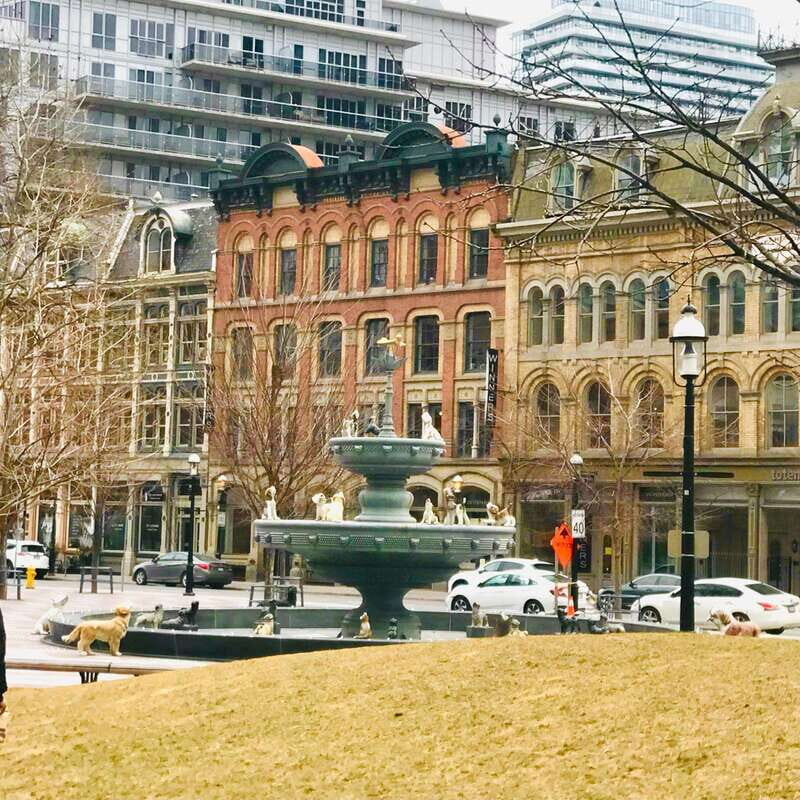 Toronto: City Walking Tour - Frequently Asked Questions