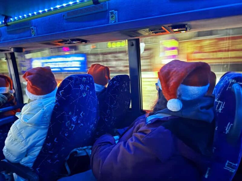 Toronto: Festive Lights Bus Tour - Who Will Love This Tour?