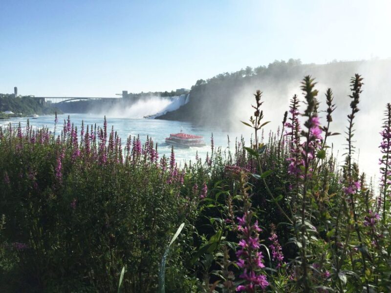 Toronto: Niagara Falls Guided Day Tour, Boat & Skylon Tower - Authentic Experiences & Guides