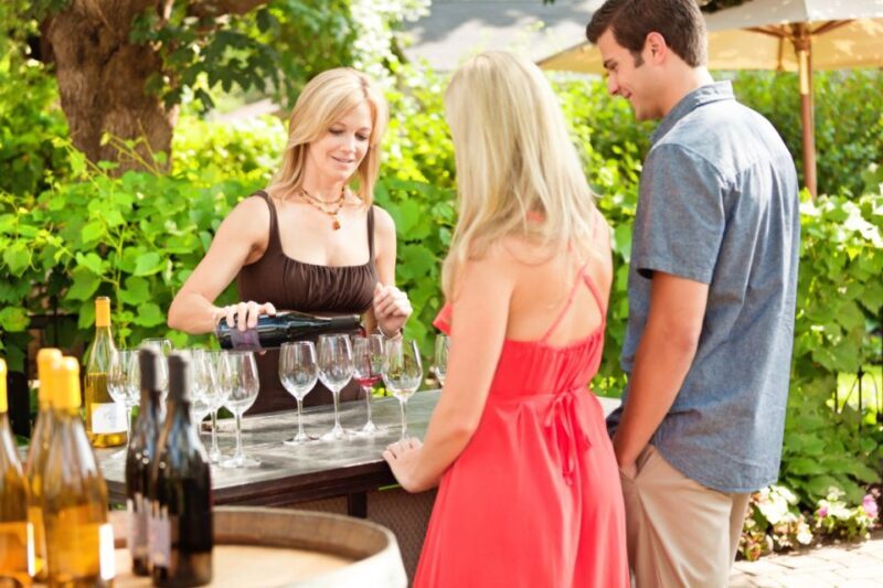 Toronto: Niagara Wineries Tasting Tour & Optional Lunch - Practical Tips for Travelers