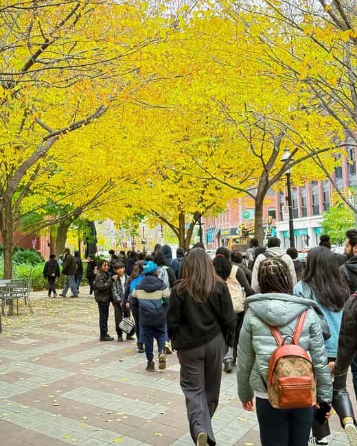 Toronto: Old Town Walking Tour - FAQs