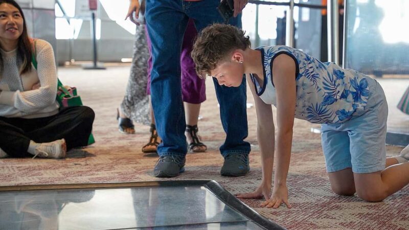 Toronto: Premium Driving Tour with Tower and Harbour Cruise - Who Will Love This Tour?