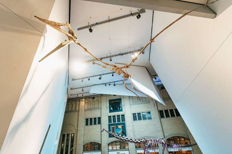 Toronto: Royal Ontario Museum Admission Ticket - Final Thoughts