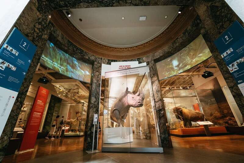 Toronto: Royal Ontario Museum Admission Ticket - In Summary