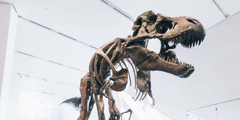 Toronto: Royal Ontario Museum Scavenger Hunt - A Fun and Authentic Way to Explore the ROM