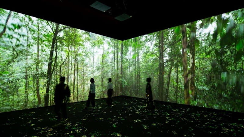 Toronto: Royal Ontario Museum Special Exhibits Voucher - Why Choose This Tour?