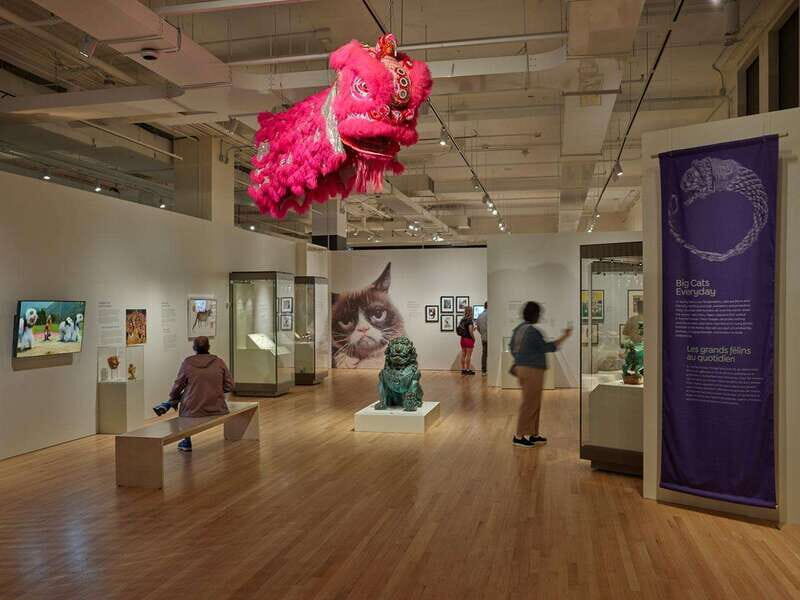 Toronto: Royal Ontario Museum Special Exhibits Voucher - Final Thoughts