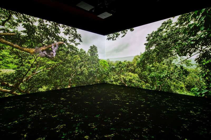 Toronto: Royal Ontario Museum Special Exhibits Voucher - FAQ