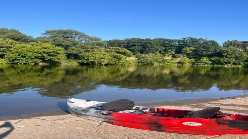 Toronto: Tandem Kayak Rental with Delivery - Discovering Toronto’s Waterfront by Kayak