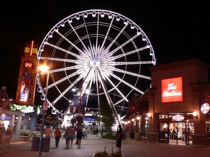 Toronto to Niagara Falls: Evening Tour with Cruise & lights - Analyzing the Value for Money