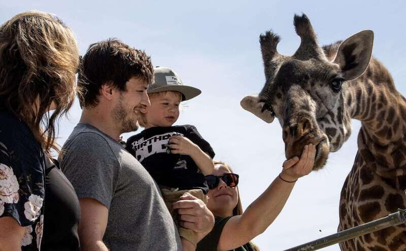 Toronto: Toronto Zoo Entry Ticket - Key Points