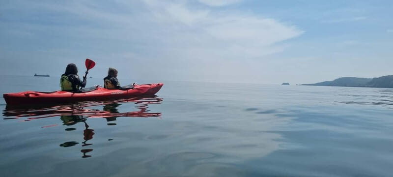 Torquay: Guided Wildlife, Bushcraft, Sea Cave Kayak Safari - Review Highlights from Participants