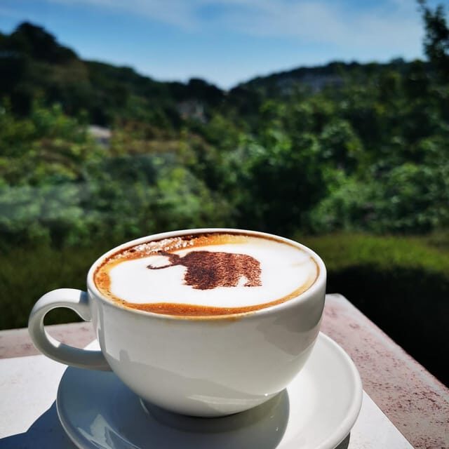 Torquay: Kents Cavern Prehistoric Cave - Who Should Visit Kents Cavern?