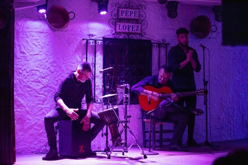 Torremolinos: Flamenco Show with Drinks - Authenticity and Atmosphere Based on Reviews