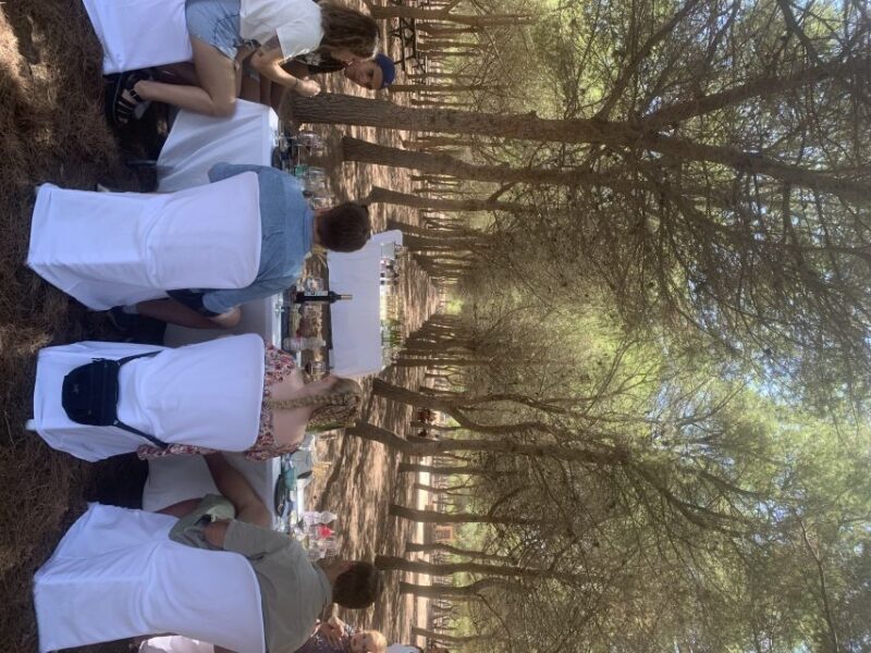 Torrevieja: Local Wine and Food Tasting Tour in La Mata Park - Key Points