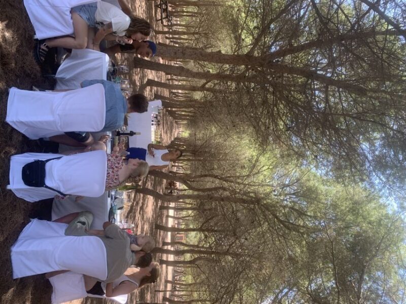 Torrevieja: Local Wine and Food Tasting Tour in La Mata Park - The Experience’s Strengths and Considerations