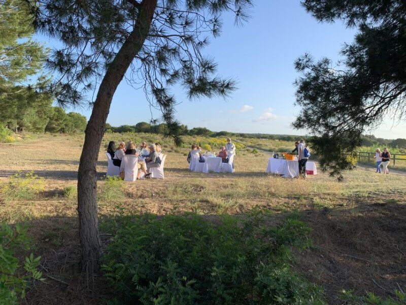 Torrevieja: Local Wine and Food Tasting Tour in La Mata Park - Who Would Love This Tour?