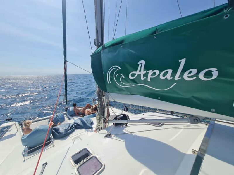 Torrevieja: Tour the harbor with the catamaran Apaleo - What’s Included and What to Bring