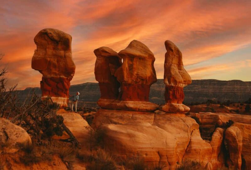 Torrey: Cosmic Ashtray, Devil's Garden, and Cedar Wash Tour - Key Points