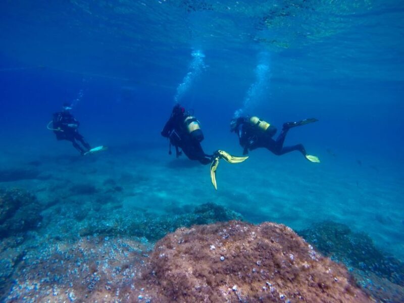 Tossa de Mar: Scuba Diving Experience for Beginners - What Is the Tossa de Mar Scuba Diving Experience?