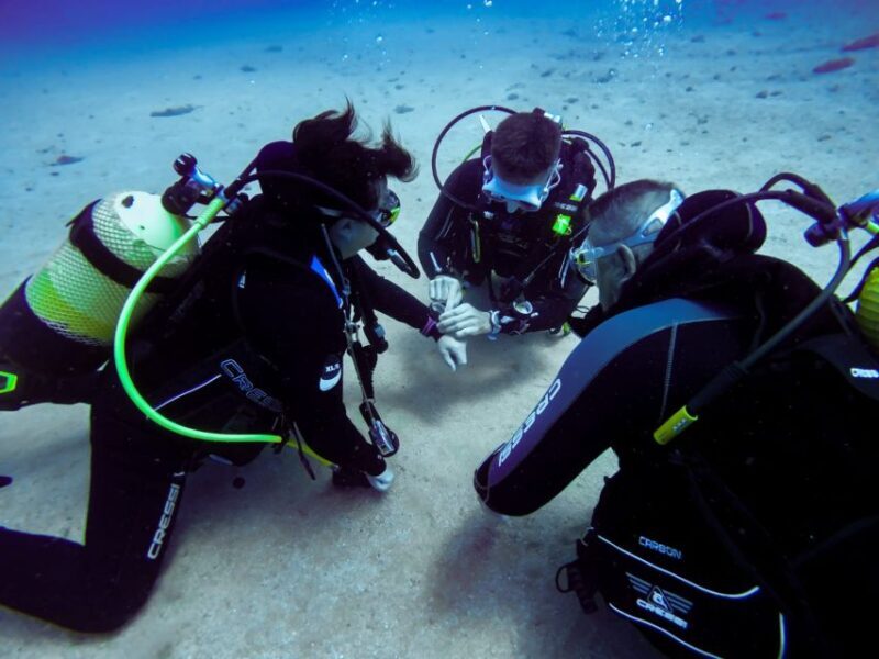 Tossa de Mar: Scuba Diving Experience for Beginners - Who Is This Tour Best Suited For?