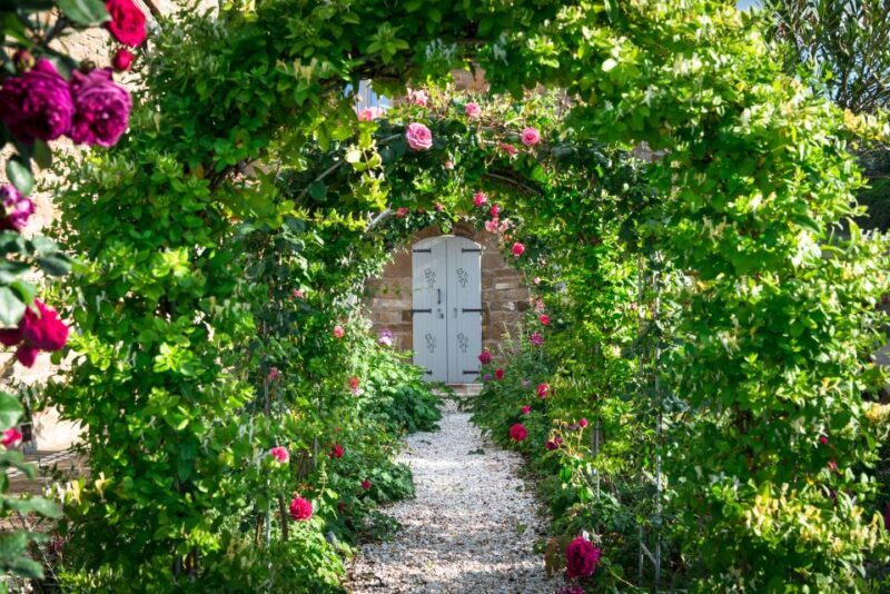 Total Immersion Wine Tour in Chianti - What to Expect from the Total Immersion Wine Tour in Chianti