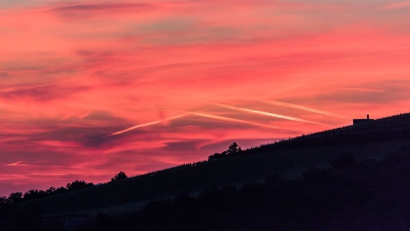 Total Immersion Wine Tour in Chianti - The Sum Up: Who Should Book This Experience?