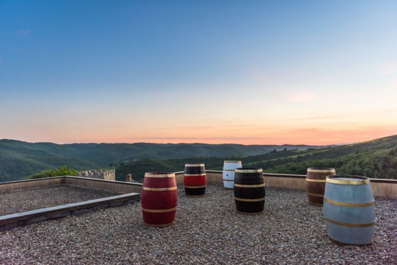 Total Immersion Wine Tour in Chianti - FAQs