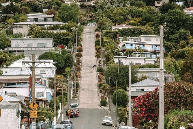 Totally Local Wildscene Private Shore Excursion With 8 travelers - The Experience of the Guide and Transportation