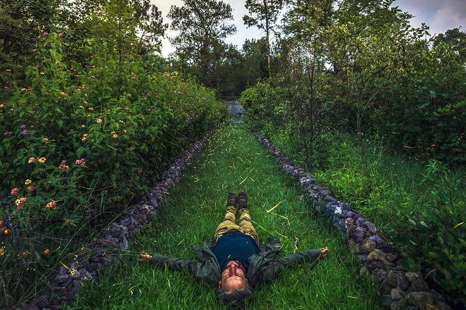 Totláli fireflies sighting - Why It Works and Who It’s For