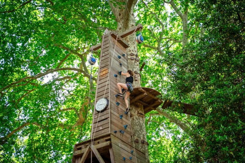 Toulon: Tree climbing course - Exploring the Tree Climbing Course in Toulon: An Authentic Forest Adventure