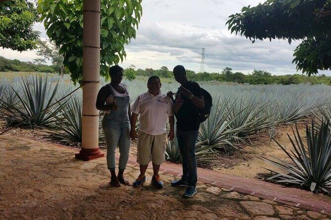 Tour 3-Day Private Yucatan Peninsula Tour Including Mayan Community - Exploring the Yucatan in Depth