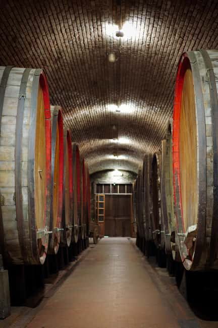 Tour and tasting at the Casalbosco estate - The Tour Experience