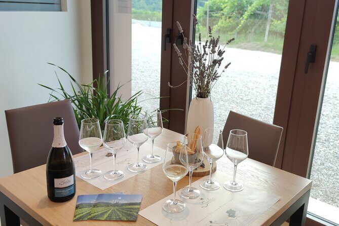 Tour and tasting in the hills of Prosecco Superiore DOCG - Key Points