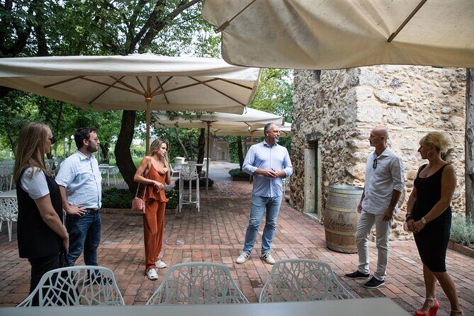 Tour and Tasting of Organic Wines in Lazise - Final Thoughts