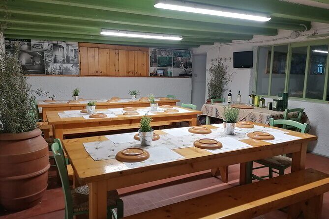 TOUR and TICKETS, VISIT TO THE MILL AND EVO OIL TASTING - Key Points