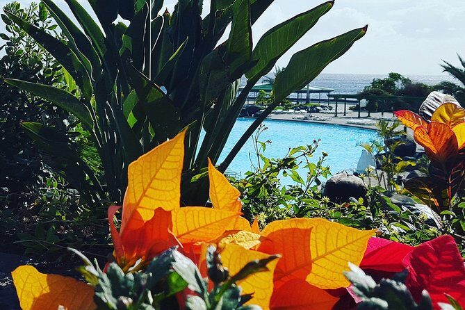 Tour Around the Island - Private VIP Tour in Tenerife - El Palmar de Vejer – Agricultural Heart of Tenerife  