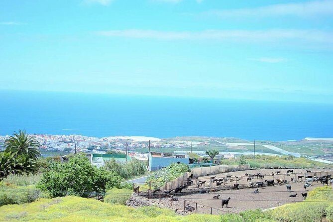 Tour Around the Island - Private VIP Tour in Tenerife - Acantilado de los Gigantes – Dramatic Cliffs  