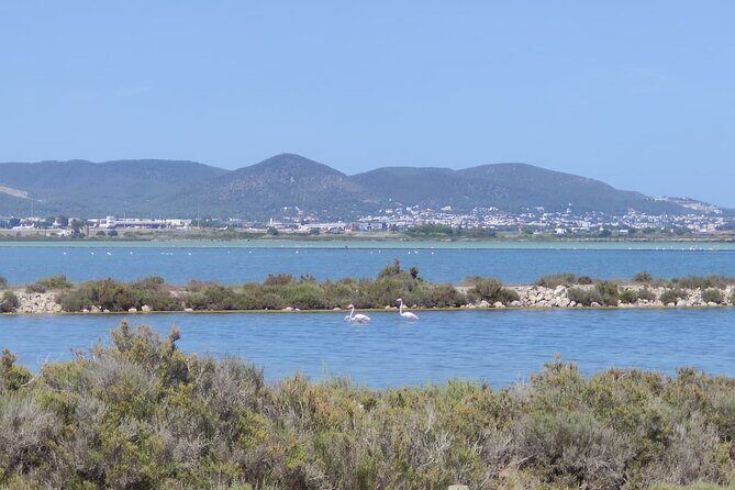 TOUR around the JEWELS of IBIZA SALT BEDS, ES VEDRA, TIME & SPACE - Exploring Ibiza’s Salt Flats and Natural Beauty