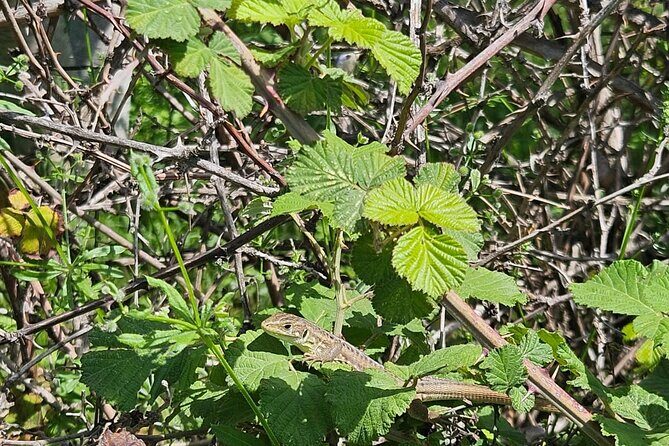 Tour Around the Lake Albania from Ohrid - Final Words