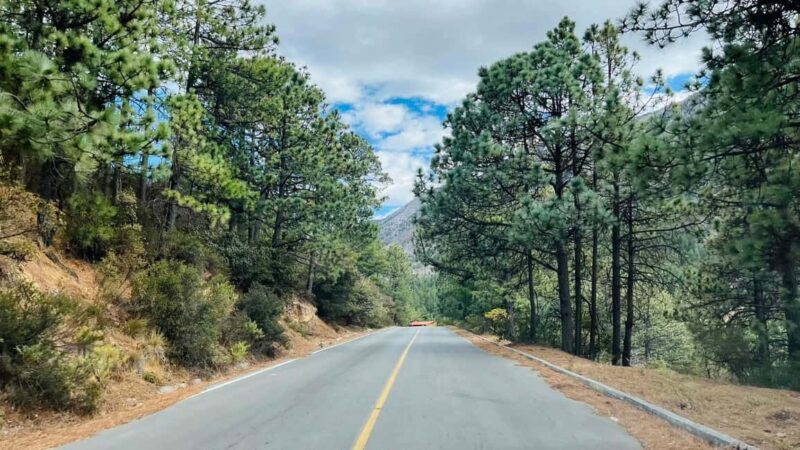 Tour "Arteaga Coahuila" + Guía + Traslados + Tickets - Introduction to the Arteaga Coahuila Tour