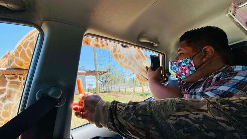 Tour "Bioparque" + Traslados + Tickets incluidos - An In-Depth Look at the Bioparque Safari Experience