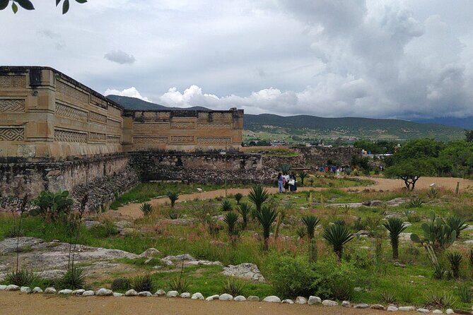 Tour Boil the "classic" water - FAQs