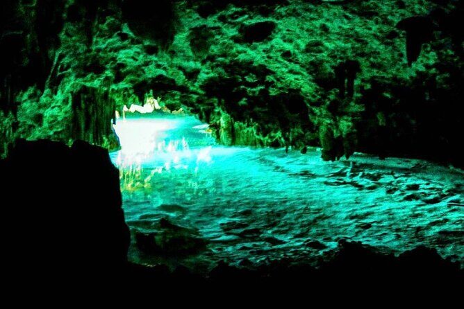 Tour Cenote Santa Cruz - Who Should Consider This Tour?