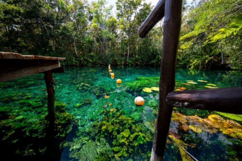 Tour Coba Ruins & Refreshing Cenote Xux Ha Swim With Lunch - Key Points