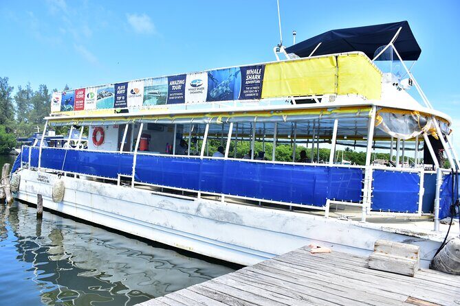 Tour Contoy Magic Island! Round Transportation From Cancun & Playa Del Carmen - A Deep Dive into the Contoy and Isla Mujeres Experience